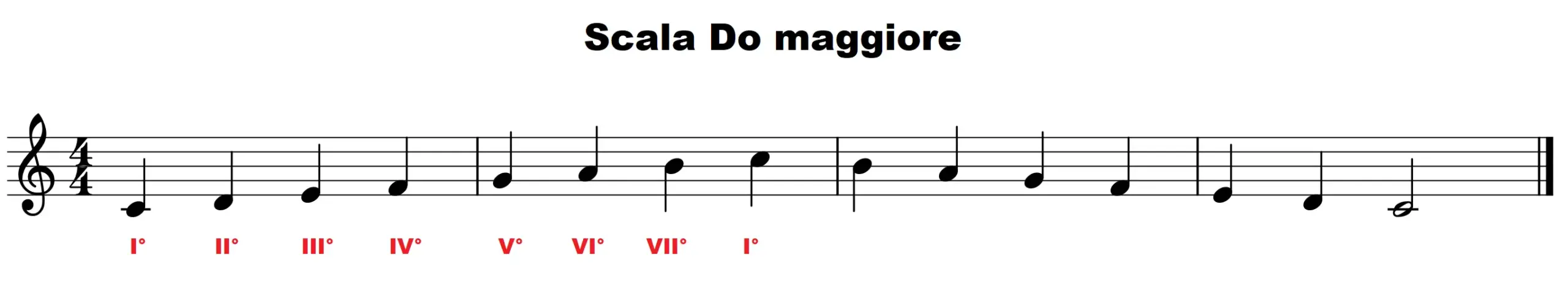 Scale musicali: tutto quello che devi sapere per iniziare - Dan musica